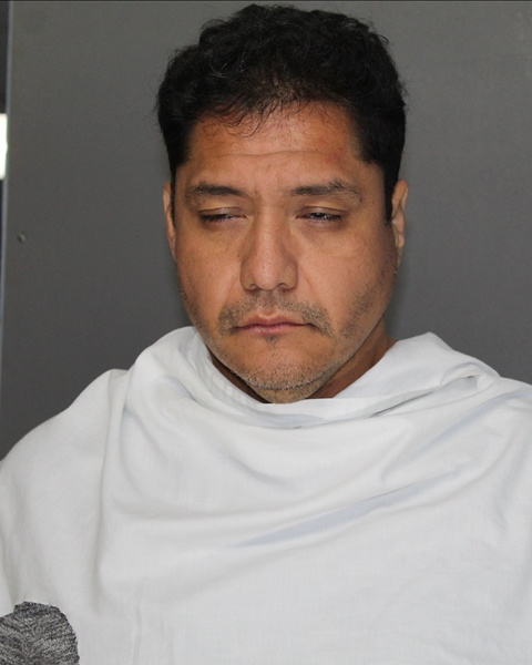 Ellis County Inmate Search
