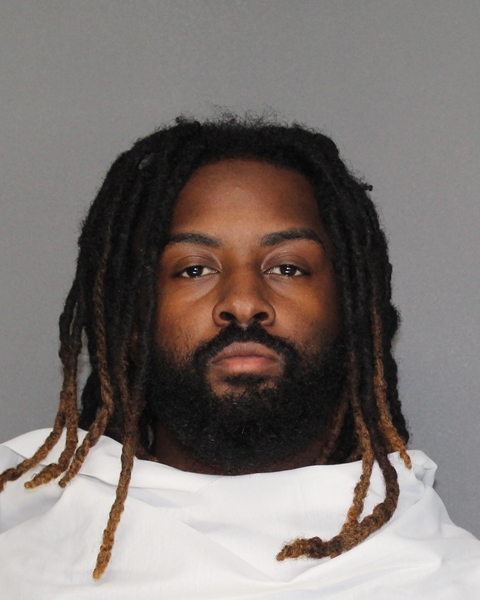 Ellis County Inmate Search