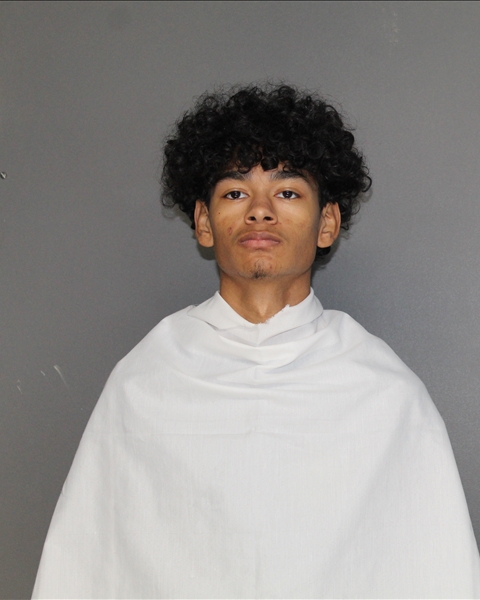 Ellis County Inmate Search