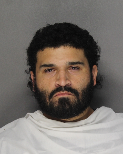 Ellis County Inmate Search