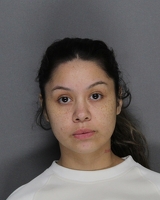 Ellis County Inmate Search