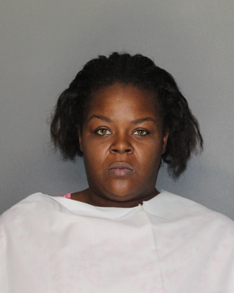Ellis County Inmate Search