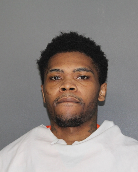 Ellis County Inmate Search