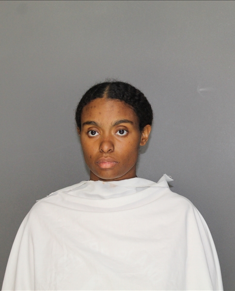 Ellis County Inmate Search